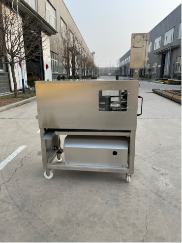 Fish scale removal machine(s) - Weifang Haizhiyuan Food Machinery Co.. Ltd.